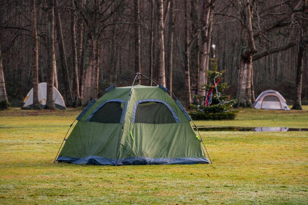 Convicted Sex Offender Allegedly Cut Into a Camping Tent, Kidnapped Two ...